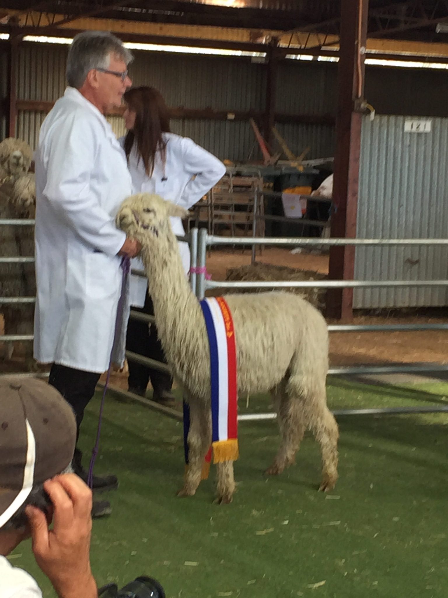 Alpaca | Wangaratta Show 11th & 12th Oct 2024