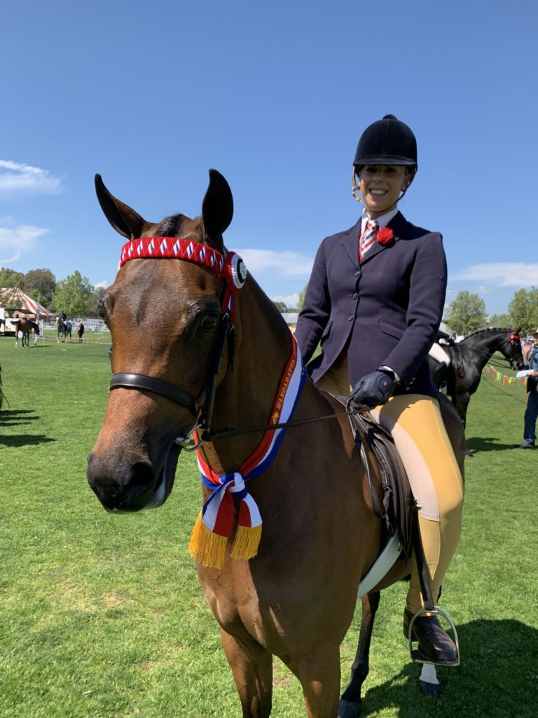 Horses | Wangaratta Show 10th & 11th Oct 2025
