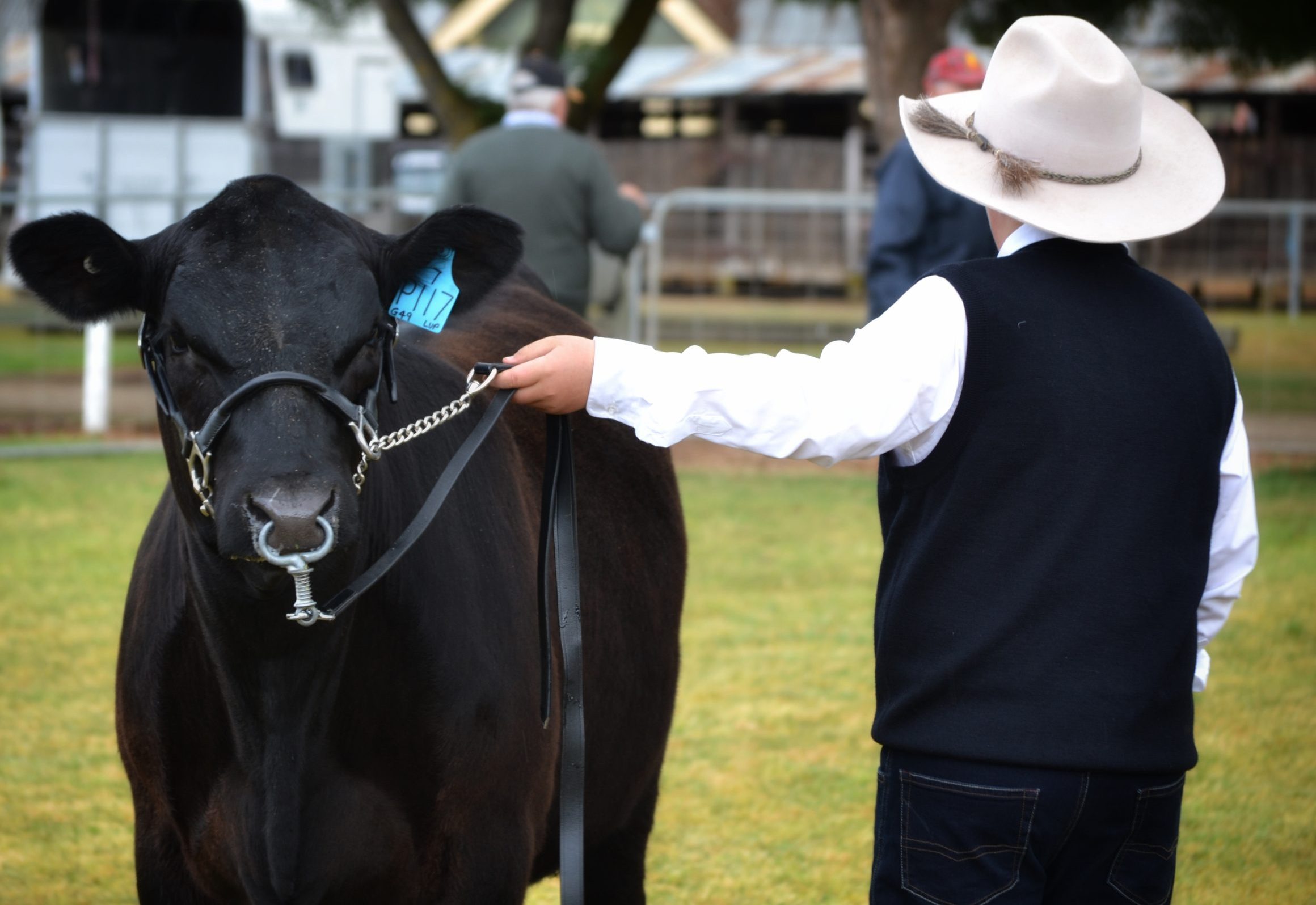 Wangaratta Show 11th & 12th Oct 2024