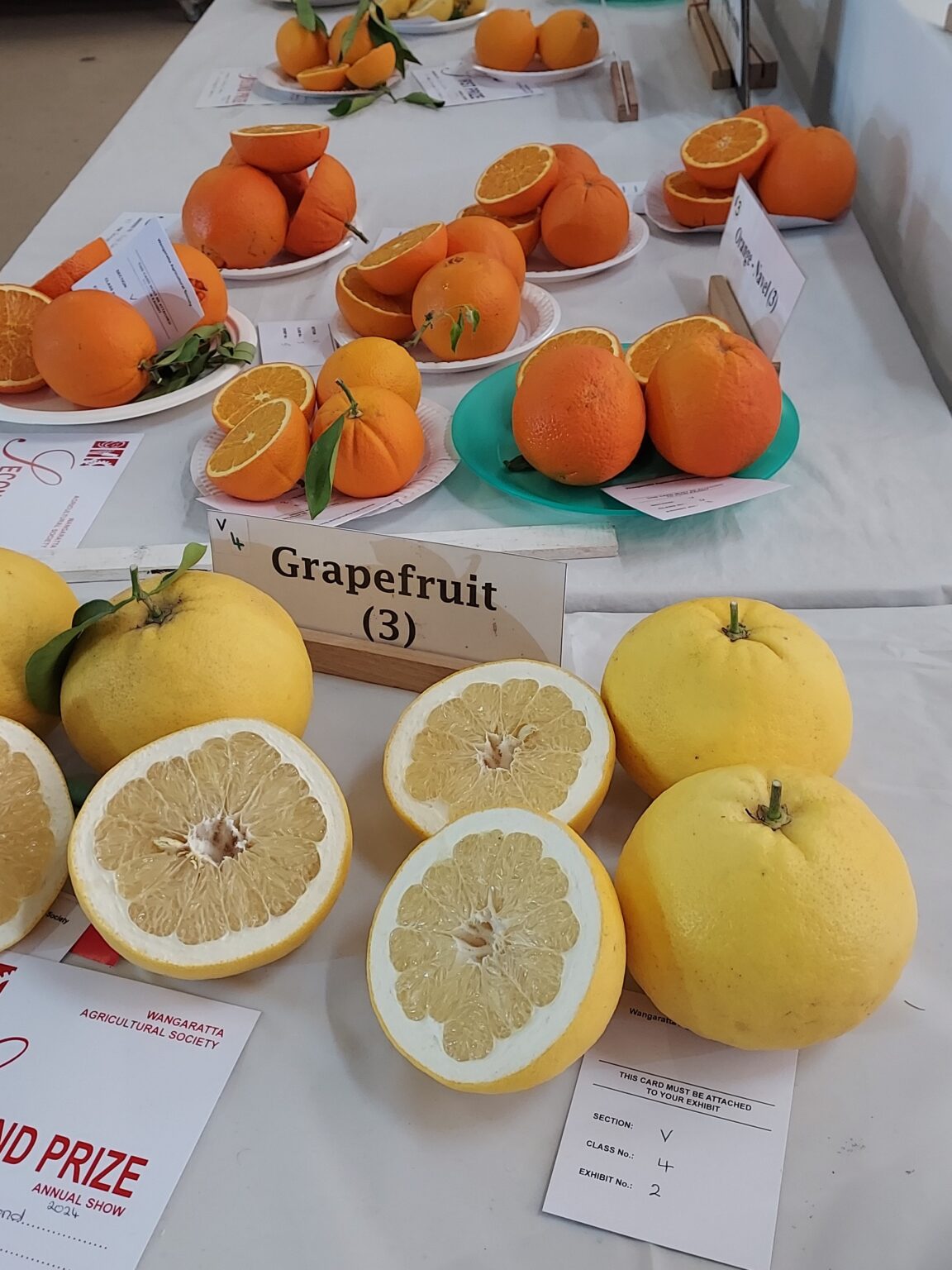 Horticulture & Produce | Wangaratta Show 9th & 10th October 2026